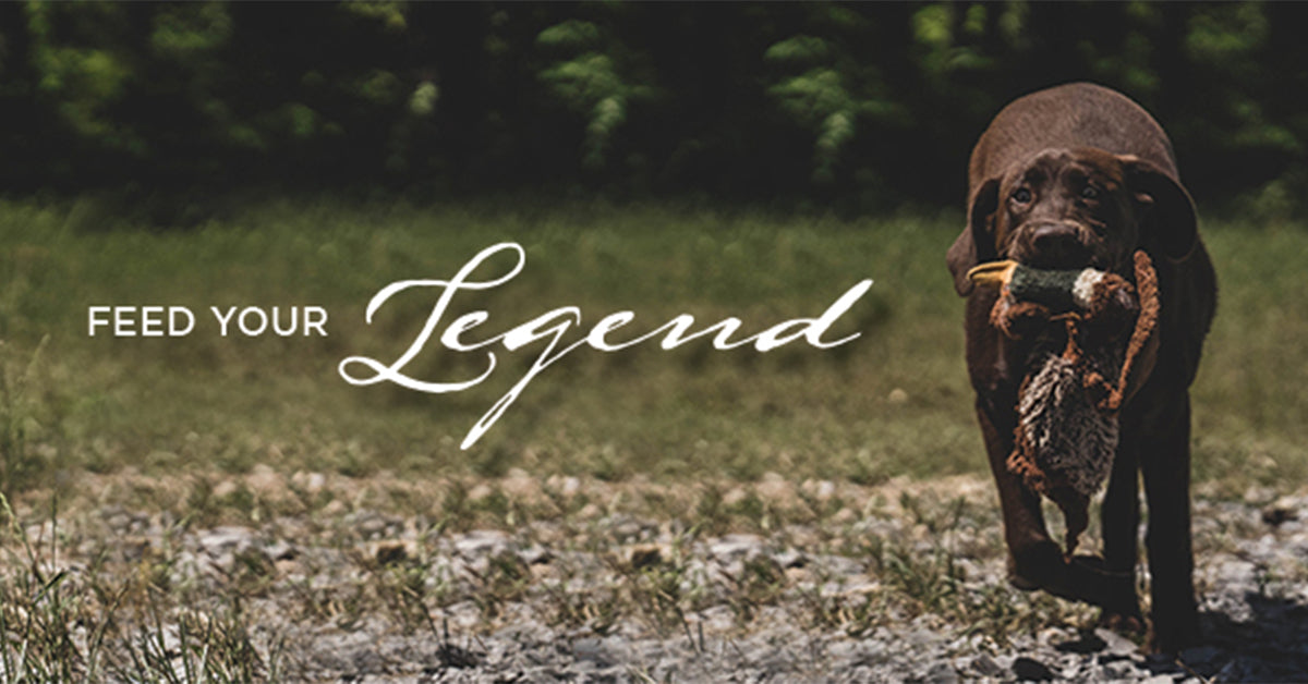 Legends Dog Food | Feed Your Legend