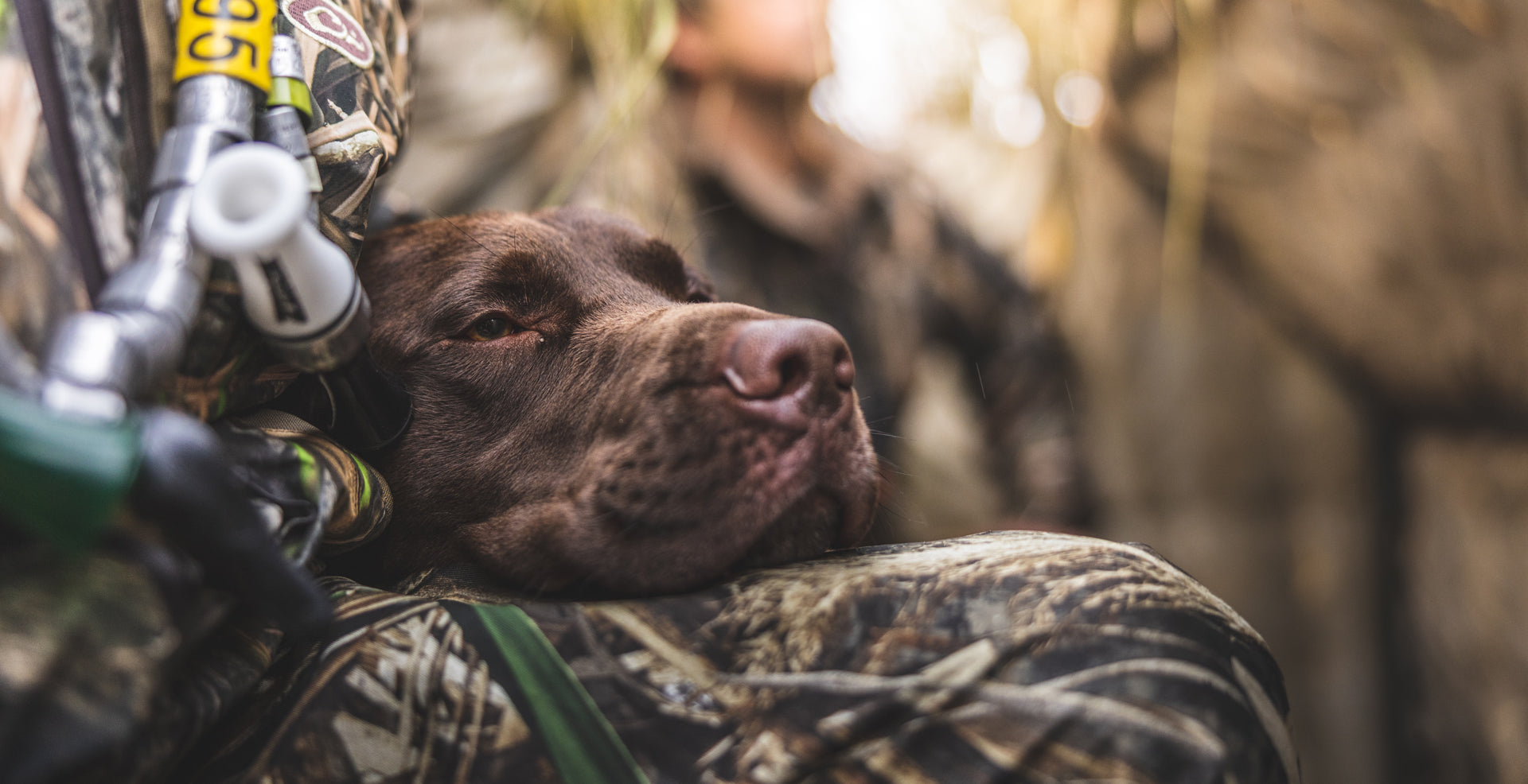 Legends Dog Food | Feed Your Legend